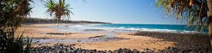 Practice Sale Search