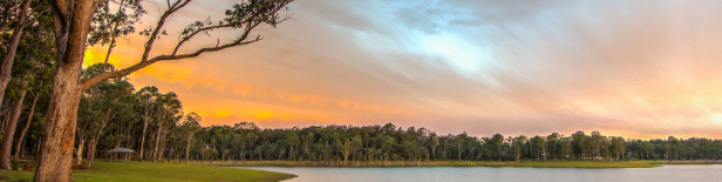 Practice Sale Search