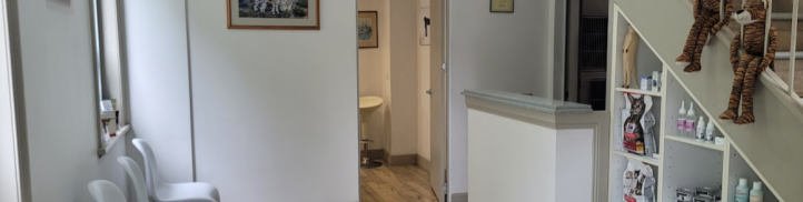 Practice Sale Search